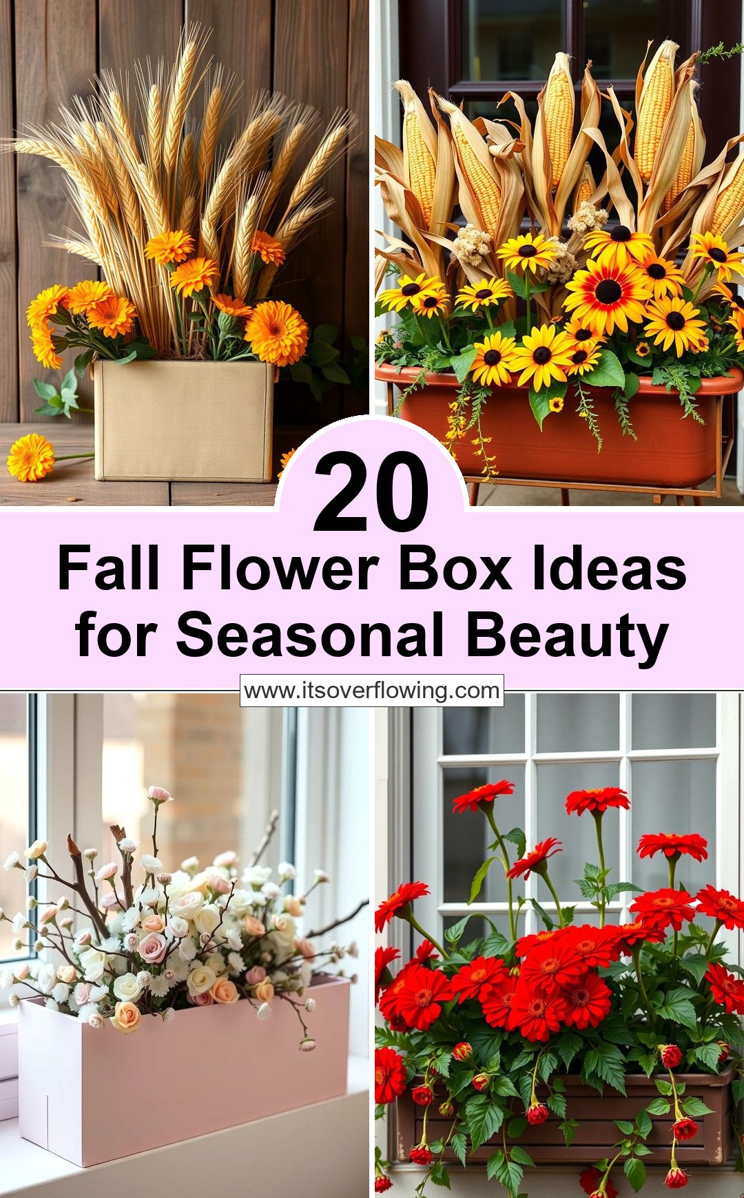 20 Fall Flower Box Ideas for Seasonal Beauty