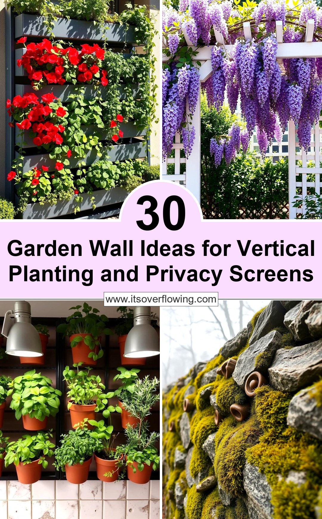 30 Garden Wall Ideas for Vertical Planting and Privacy Screens