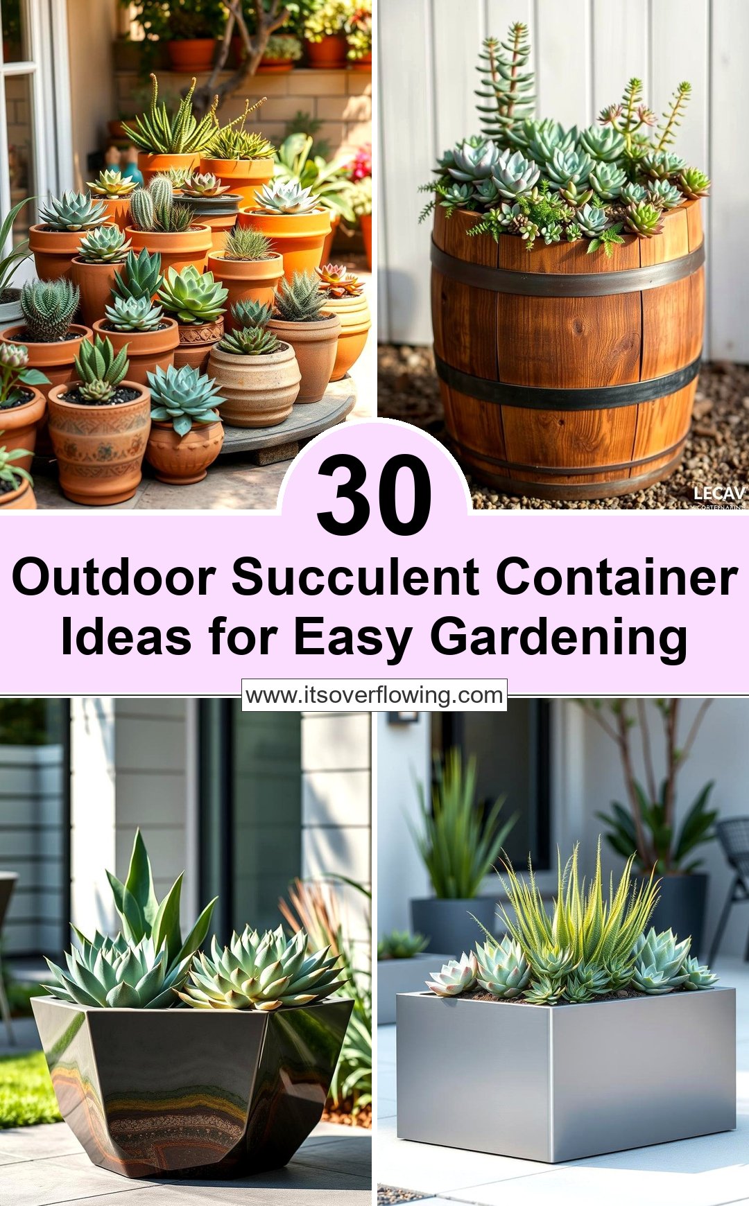 30 Outdoor Succulent Container Ideas for Easy Gardening