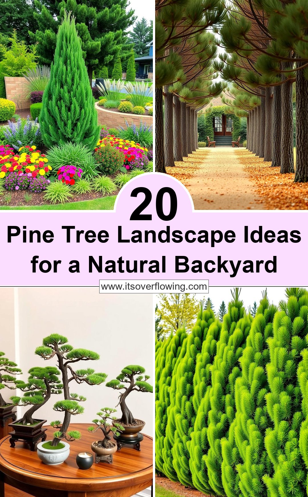 20 Pine Tree Landscape Ideas for a Natural Backyard