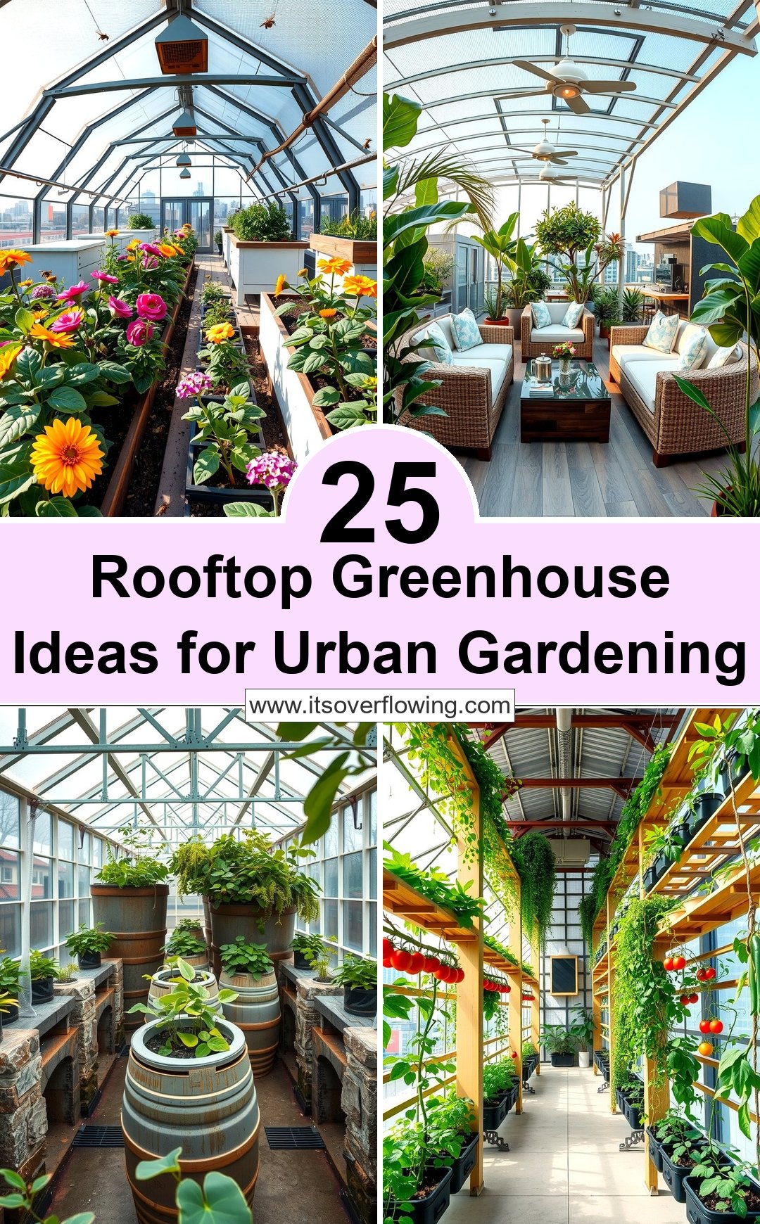 25 Rooftop Greenhouse Ideas for Urban Gardening