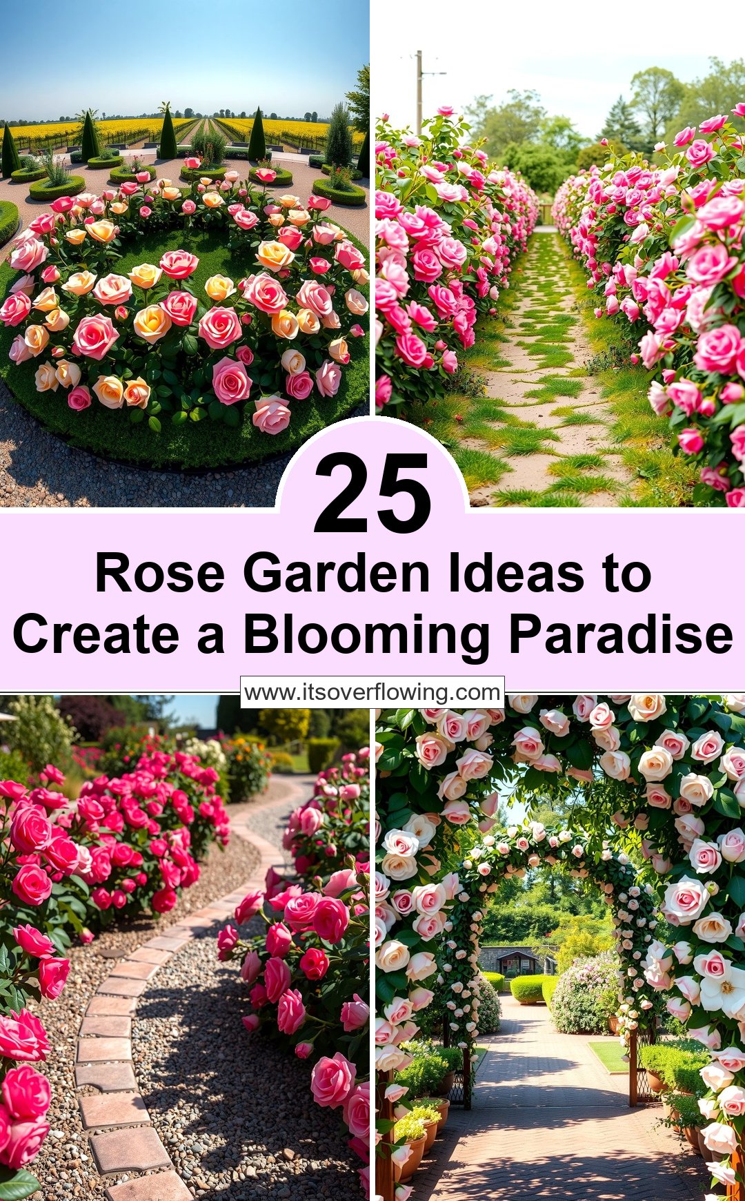 25 Rose Garden Ideas to Create a Blooming Paradise