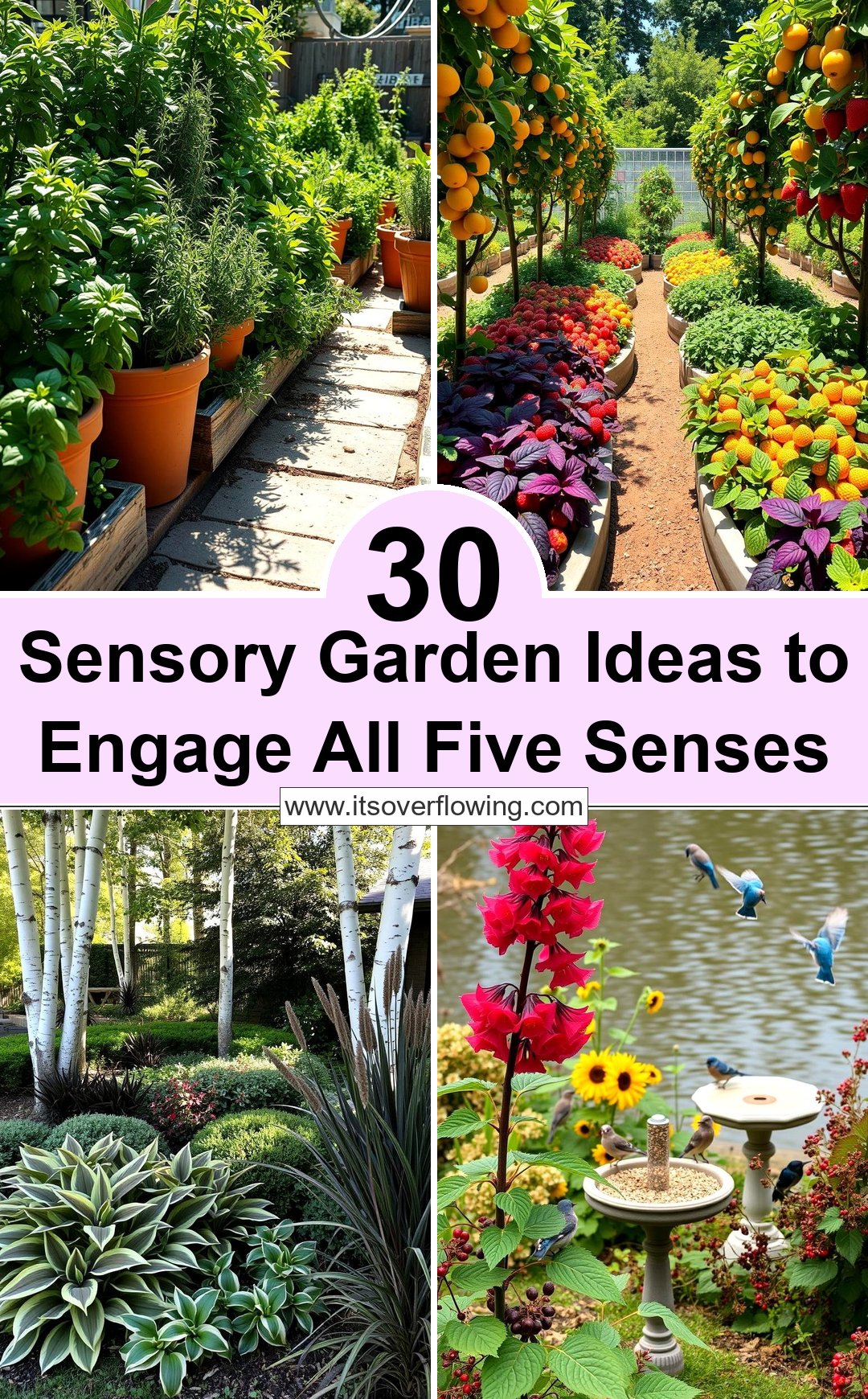 30 Sensory Garden Ideas to Engage All Five Senses