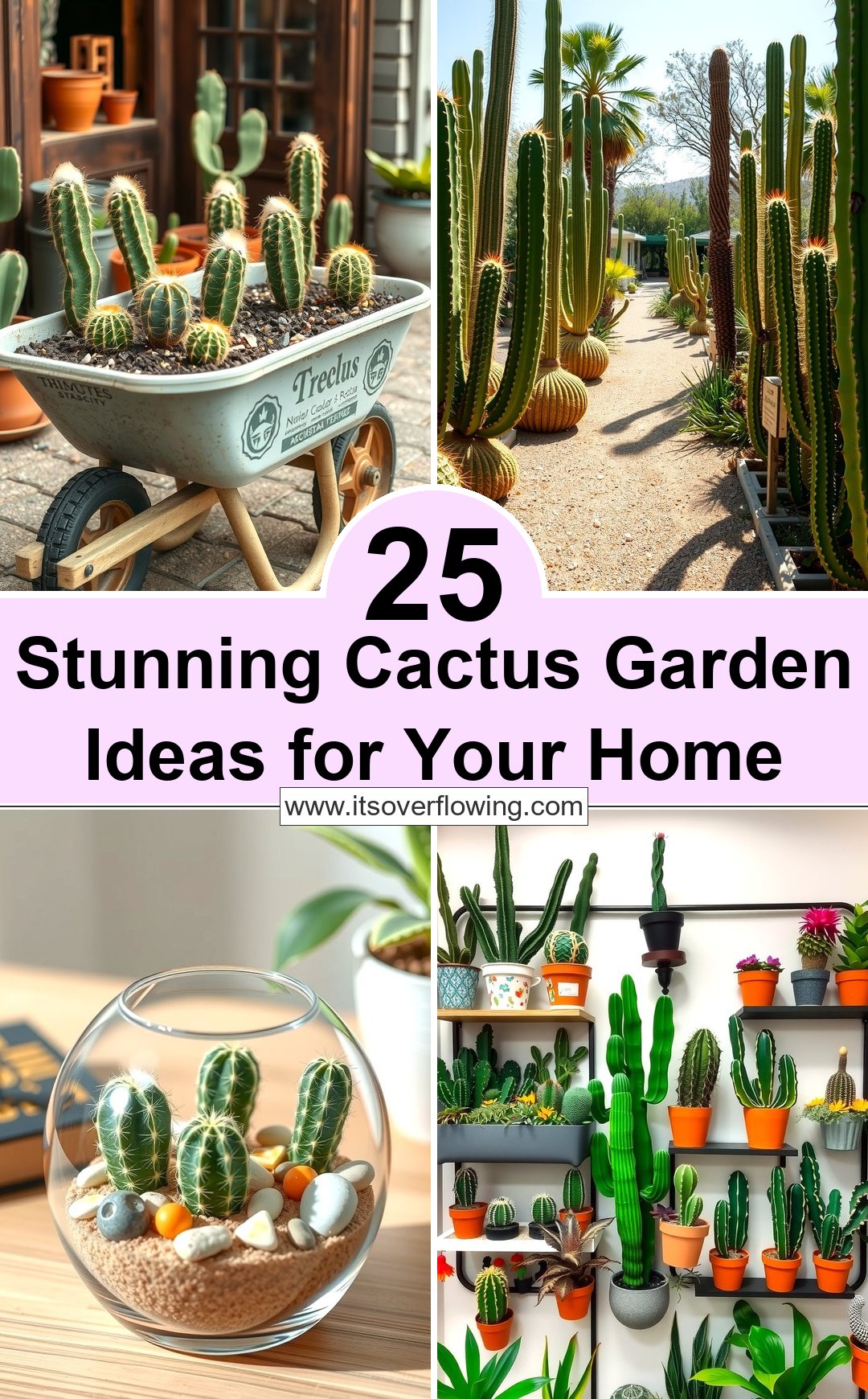 25 Stunning Cactus Garden Ideas for Your Home
