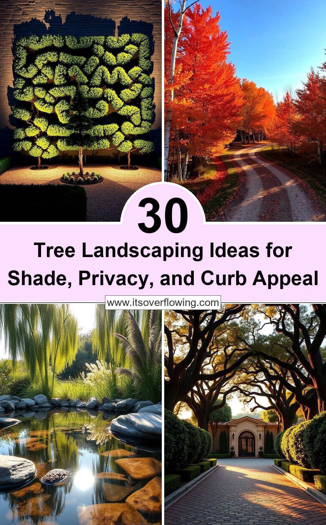30 Tree Landscaping Ideas for Shade, Privacy, and Curb Appeal