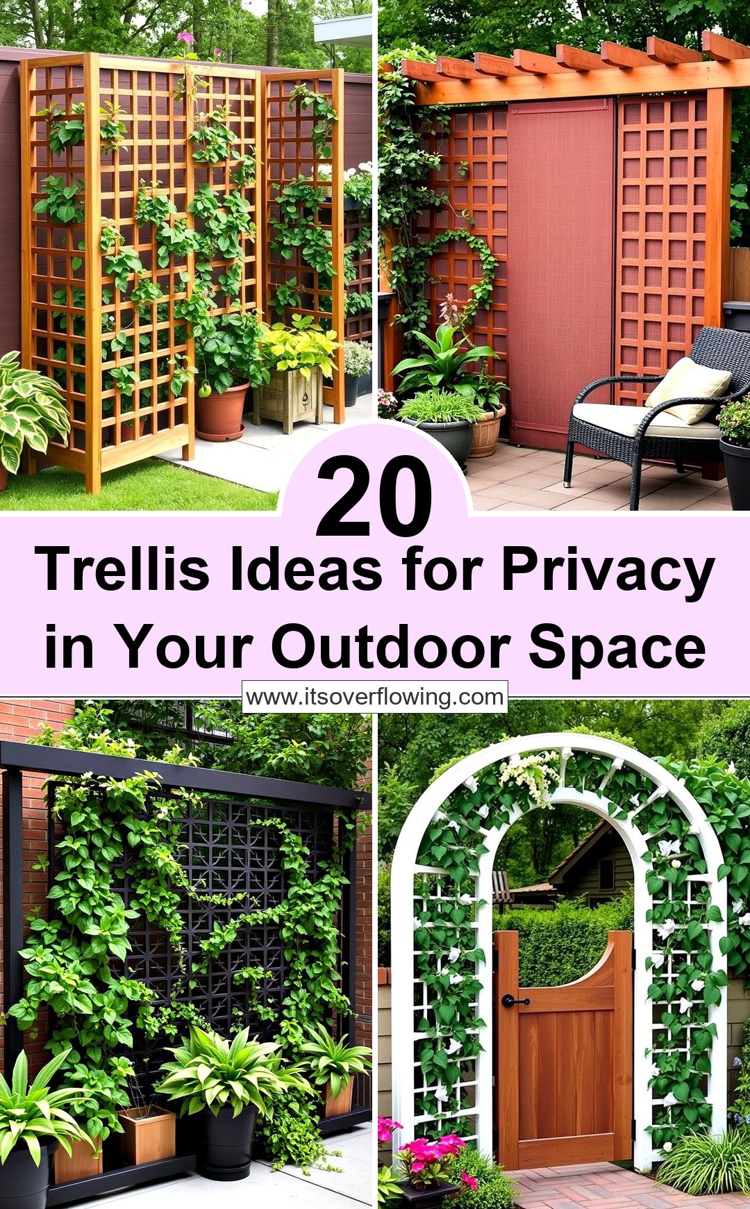 20 Trellis Ideas for Privacy in Your Outdoor Space
