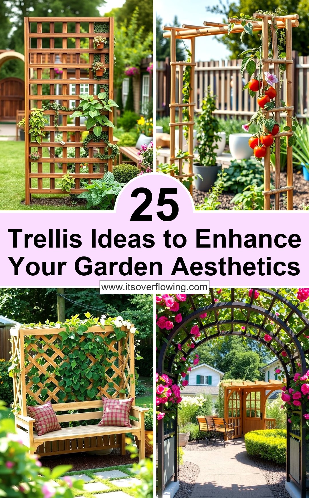 25 Trellis Ideas to Enhance Your Garden Aesthetics