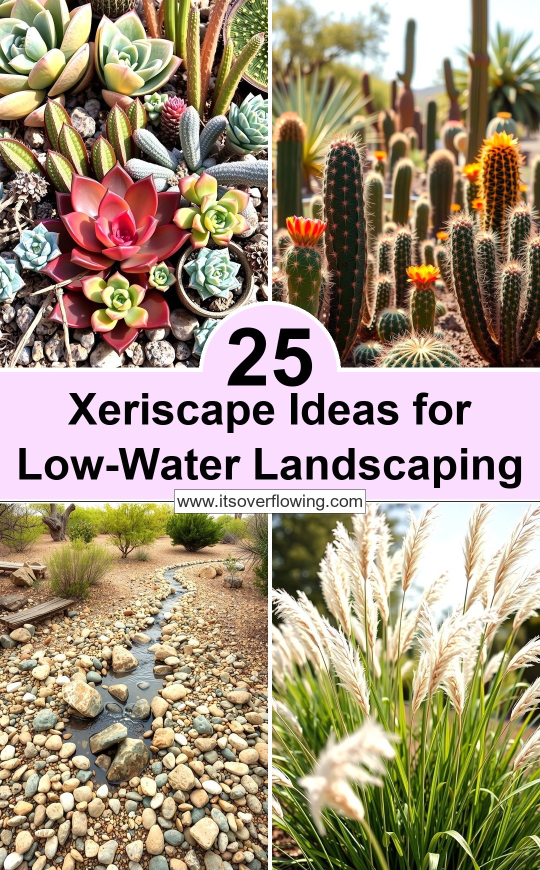 25 Xeriscape Ideas for Low-Water Landscaping